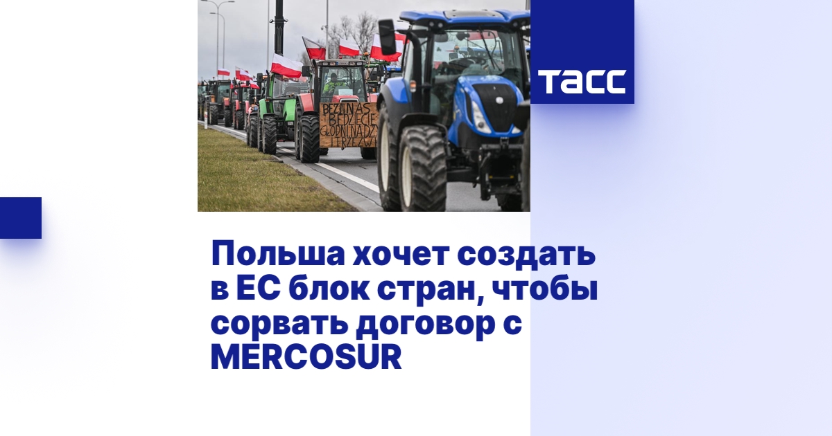 Польша хочет создать в ЕС блок стран, чтобы сорвать договор с MERCOSUR