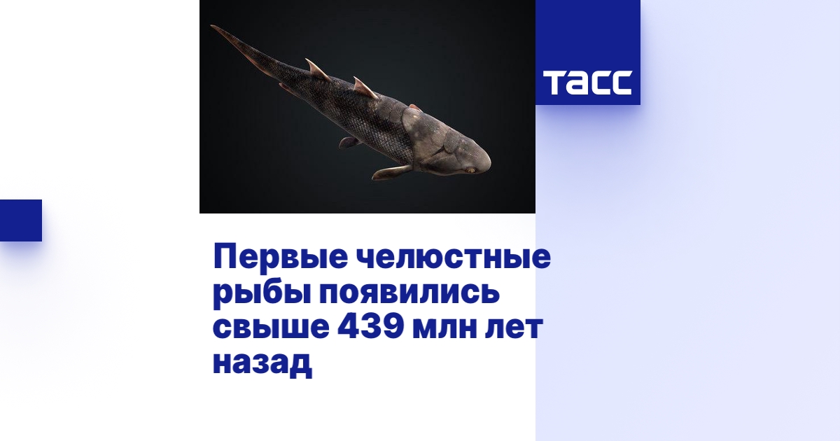 Первые челюстные рыбы появились свыше 439 млн лет назад