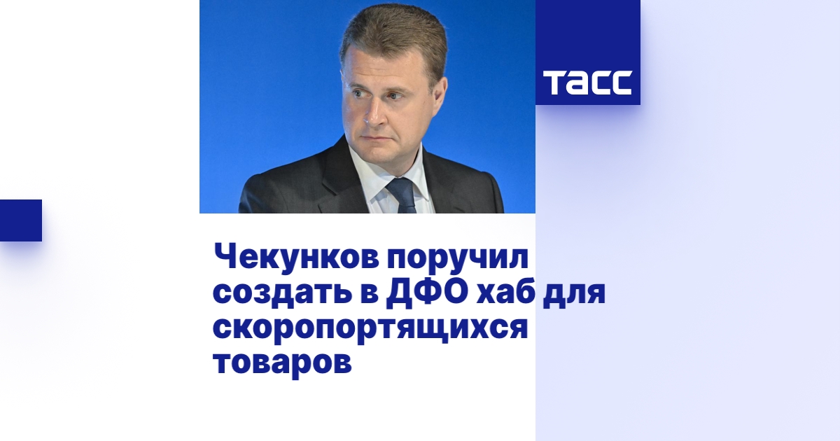 Чекунков поручил создать в ДФО хаб для скоропортящихся товаров