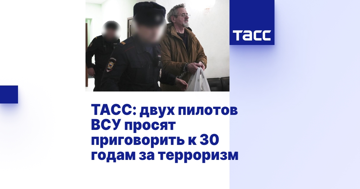 ТАСС: двух пилотов ВСУ просят приговорить к 30 годам за терроризм